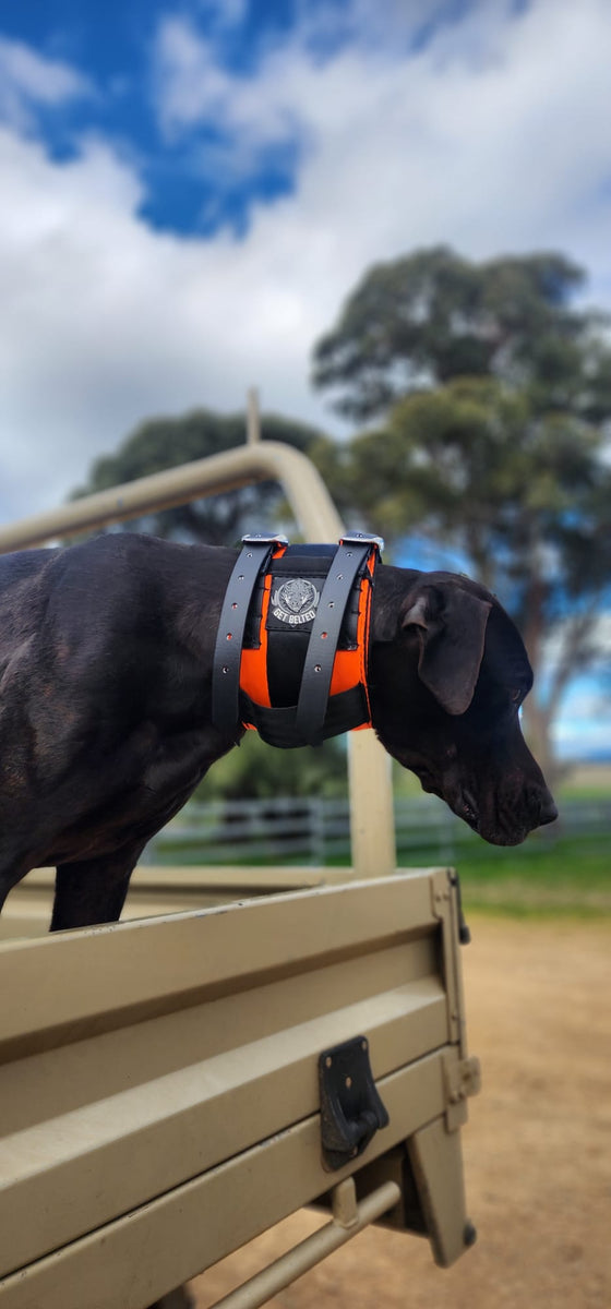 Rip Collar – Get Belted Chestplates & Collars